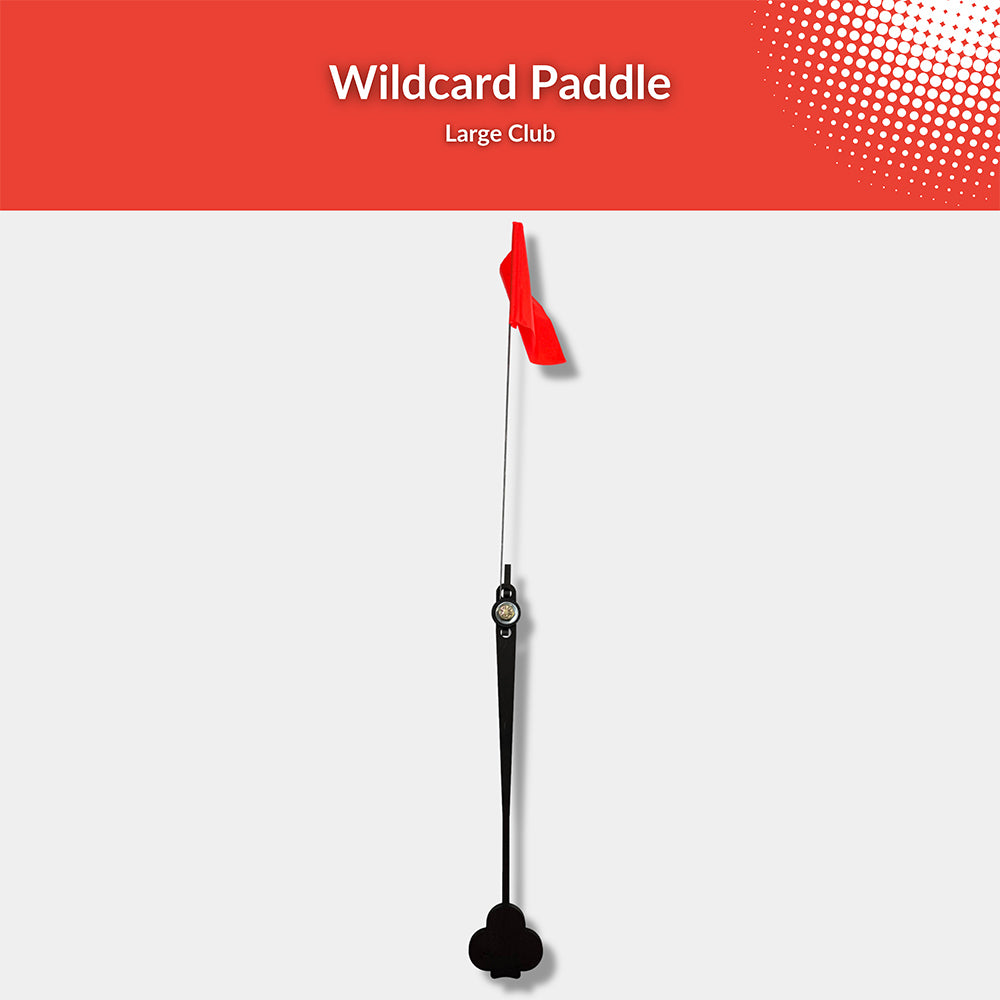 Wildcard Draw Rimfire Targets 🎯